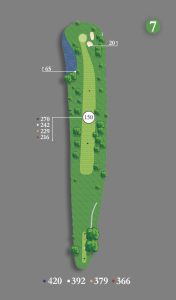 Golf Course - Sundale Country Club & The Phoenix Club at Sundale